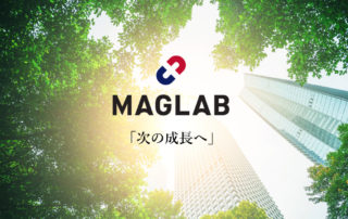 MAGLAB